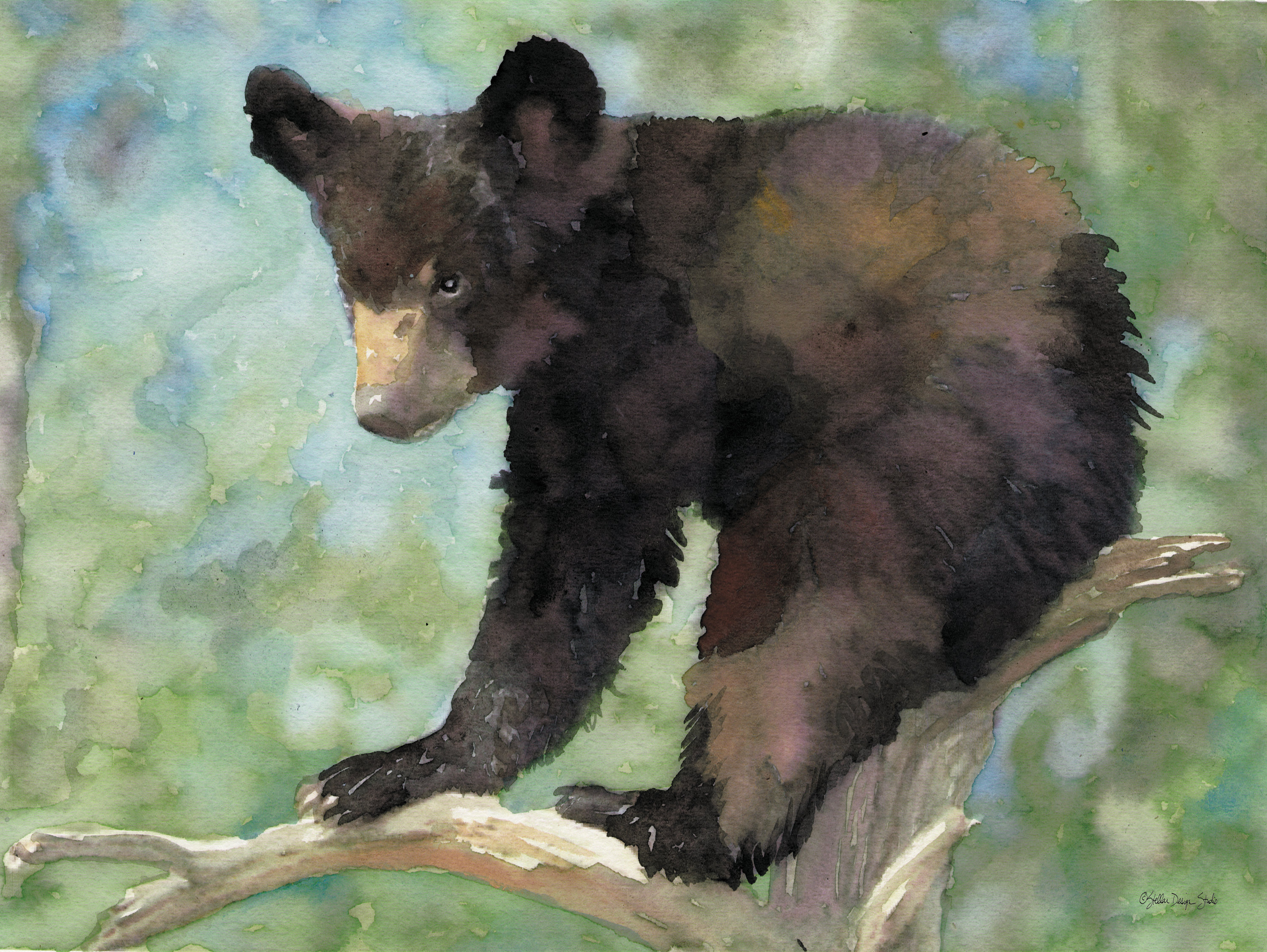 Millwood Pines Almenia Bear Cub In Tree 2 by Stellar Design Studio | Wayfair